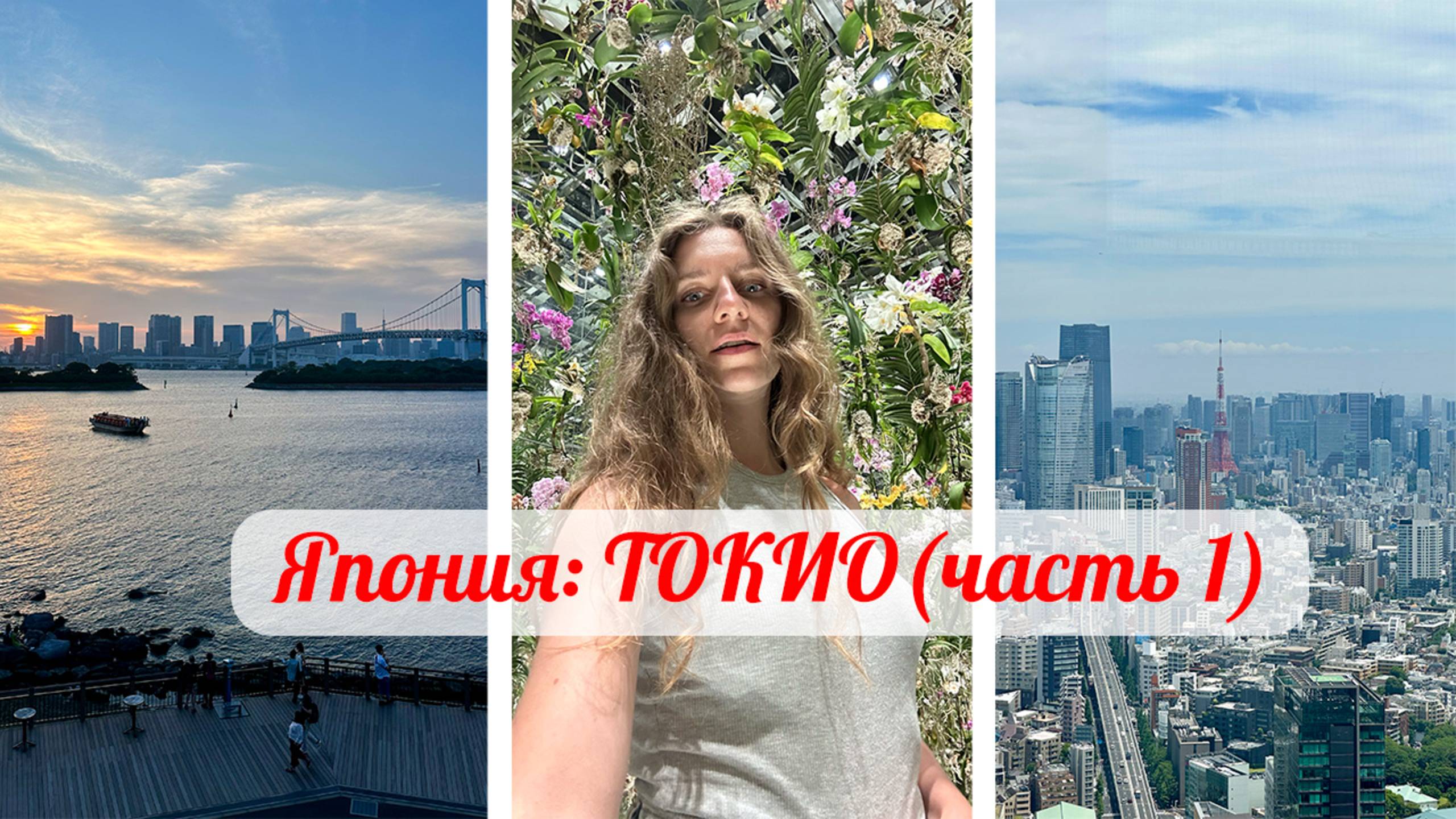 ТОКИО | Япония (первая часть) | Одайба, team Lab, Shibuya Sky, Акихабара