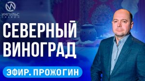 Эфир. Мусор на колёсах. Рокарий в парке. Гастрономическое путешествие.