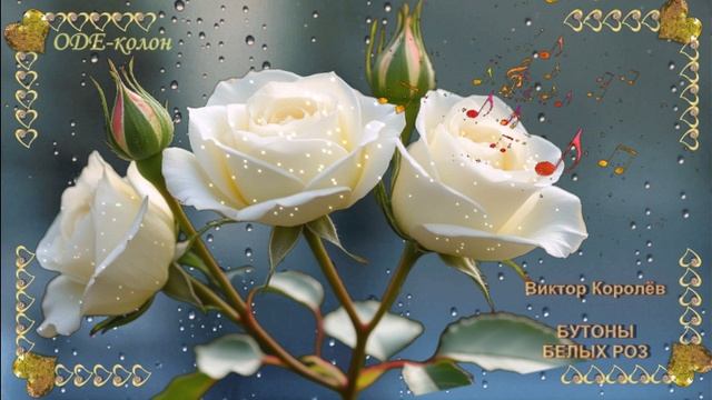 Виктор Королёв - Бутоны белых роз