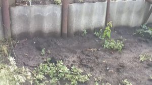 18-06-2025 года.   Ураган прошол ночью. Мая конструкция не выдержала.