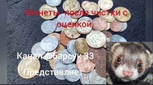 Монеты после чистки с оценкой цены.