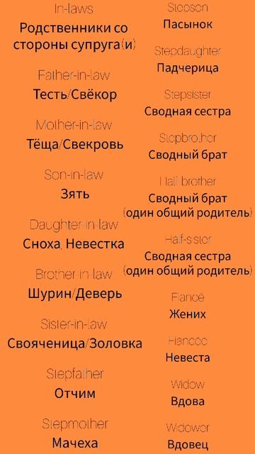 Семья 3 Family 3