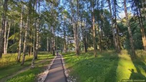 Играю на гуслях. Городской парк, город Богородск, 2025.07.15. Светлозар Чукотский