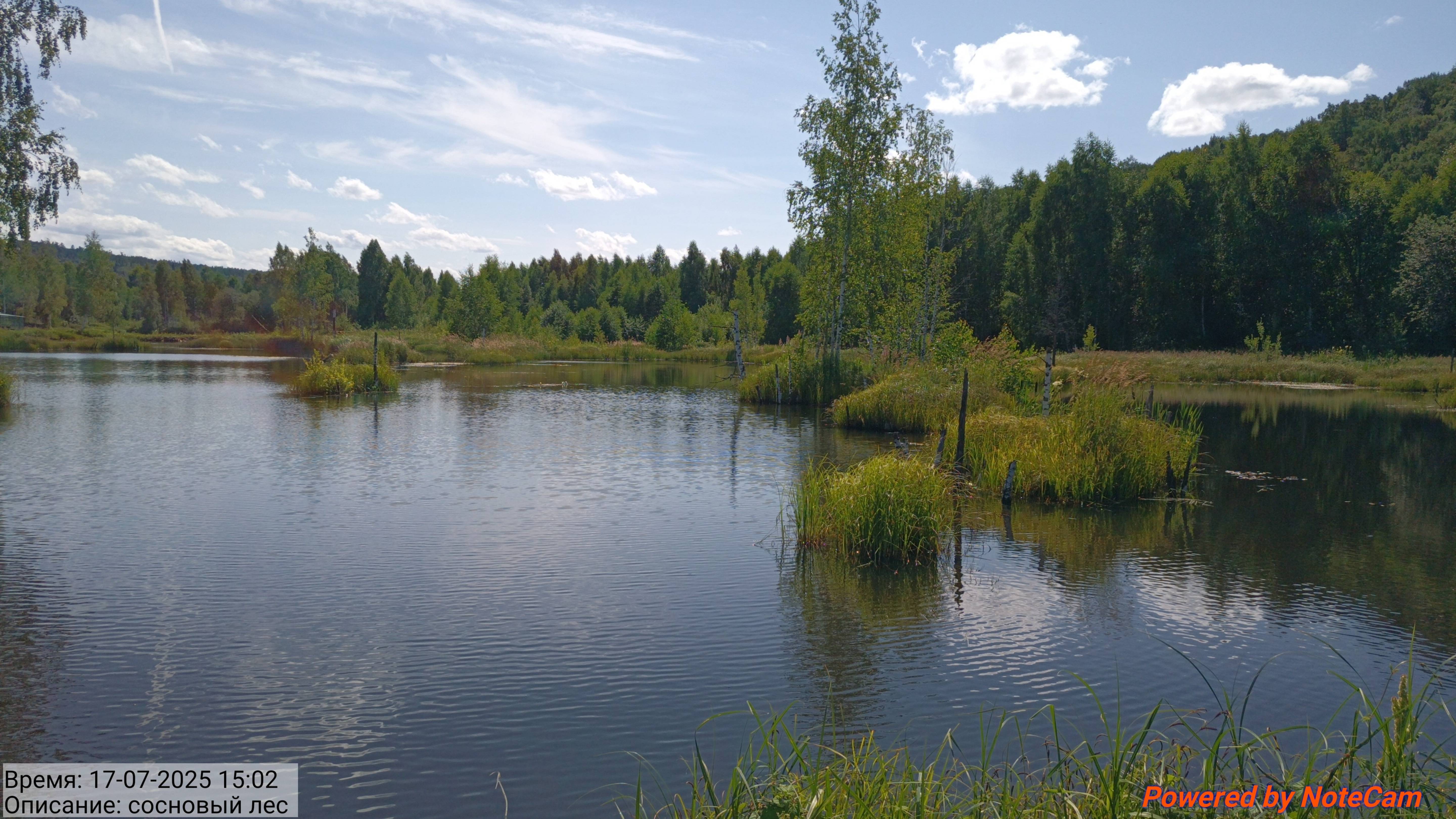 На велосипеде до лесного озера.
