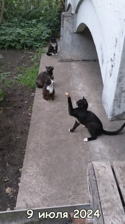 Юноша играет.