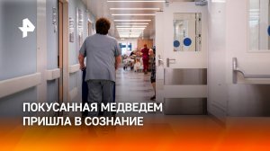 Покусанная медведем на Камчатке туристка пришла в сознание