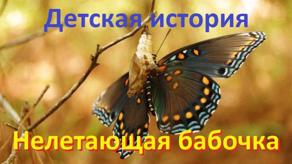 Детская история - Нелетающая бабочка