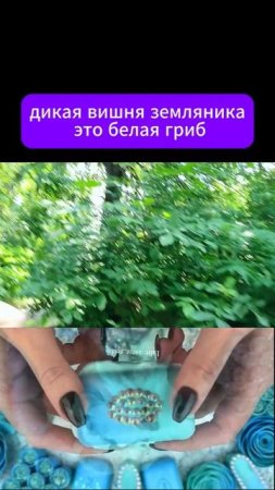 1 ЧАСТЬ НЕВЕРОЯТНЫХ ПРИКЛЮЧЕНИЙ ПО ДИКОМУ ЛЕСУ.ОБСУЖДАЕМ ПЛАНЫ НА БУДУЩЕЕ. #путешествие #природа