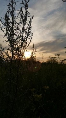 YouCut_20250718_225516227.mp4