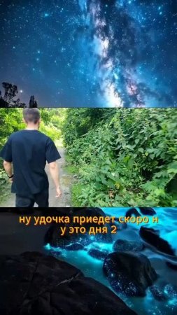 ПОДПИШИСЬ ДАЛЬШЕ БОЛЬШЕ
С ТЕБЯ ЛАЙК И КОММЕНТАРИЙ)
#ЛЕС #путешествие #подписка