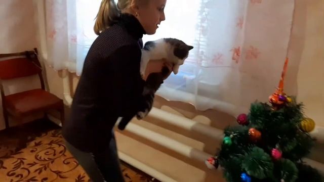 Воспоминания 2020г. Четверг. Мурчик в доме??? Готовим салат Мимозу