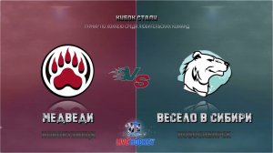 20.07.2025г. МЕДВЕДИ(Новокузнецк)  VS  ВЕСЕЛО В СИБИРИ(Новосибирск). КУБОК СТАЛИ