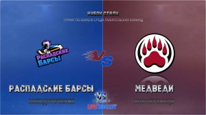 20.07.2025г. РАСПАДСКИЕ БАРСЫ(Междуреченск)  VS  МЕДВЕДИ(Новокузнецк). КУБОК СТАЛИ