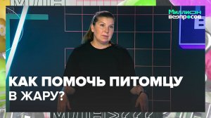 Как позаботиться о здоровье питомца: советы ветеринара|Миллион вопросов — Москва 24|Контент