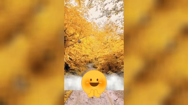 Цитаты,которые меняют день.