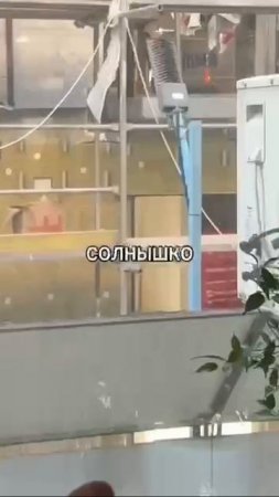 Плодитесь и размножайтесь!