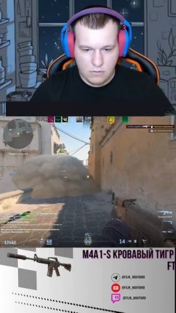 Кринж в cs2 #рекомендации #wtfcsgo #приколыcs #твичстрим #csgo #twitch #cs2 #ксго #counterstrike