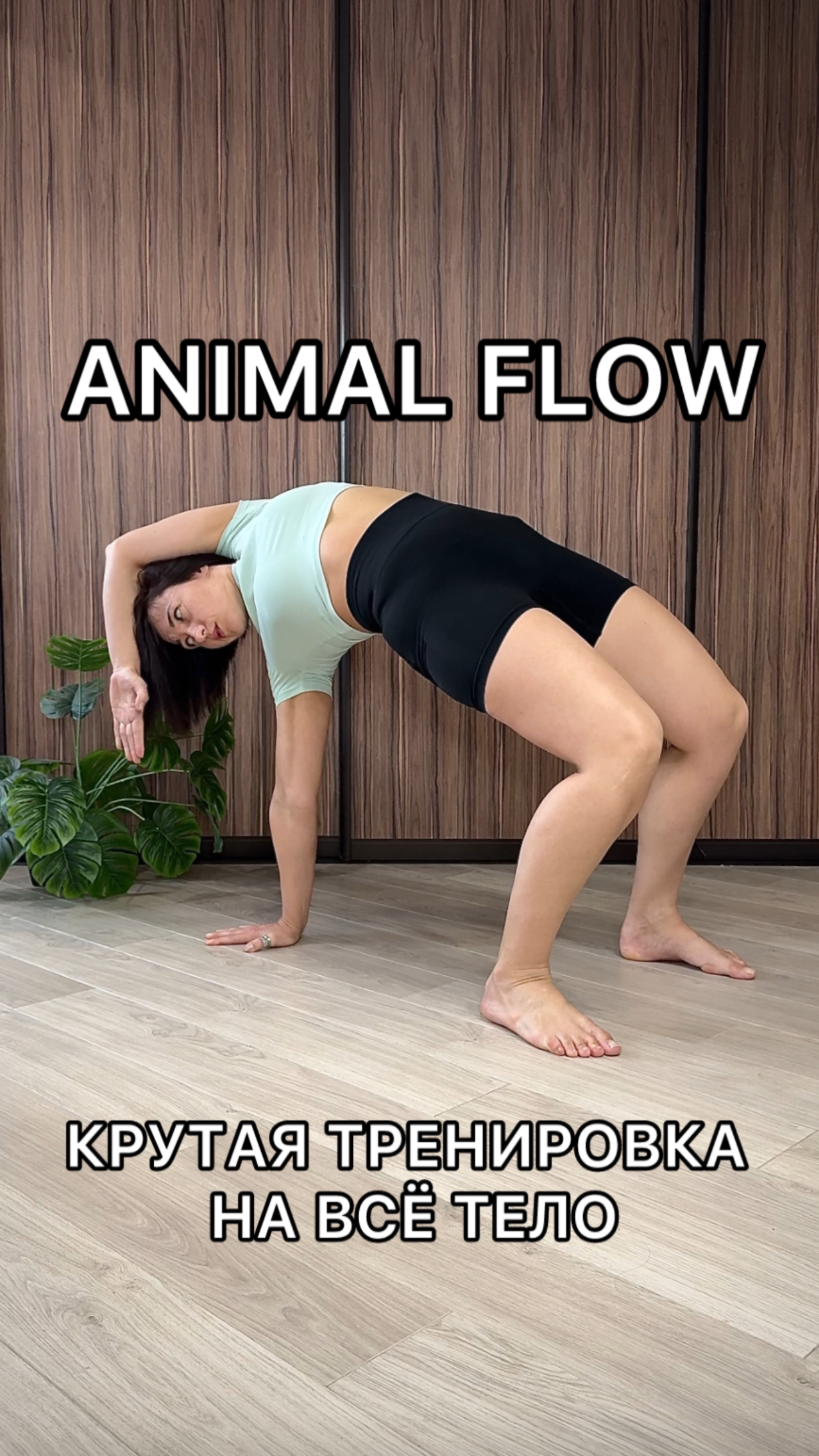Animal Flow тренировка