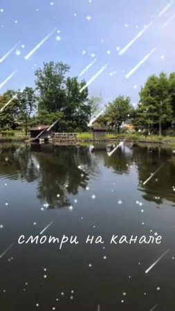 Энергия ци пронизывает все меридианы - регулирует инь и ян
