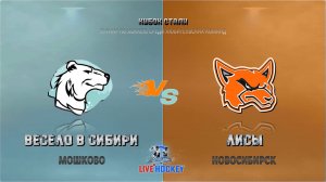 19.07.2025г. ВЕСЕЛО В СИБИРИ VS ЛИСЫ . КУБОК СТАЛИ