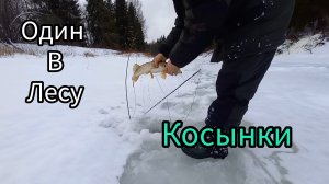 РЫБАЛКА НА КОСЫНКИ И УДОЧКУ.  УДАЧНО ТАК ПОЛОВИЛ.