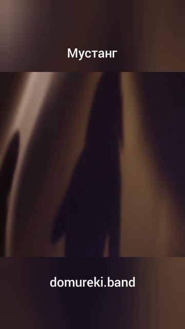 Мустанг 09 Соло 2 Окончание