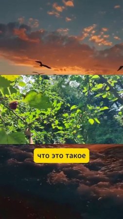 ПОДПИШИСЬ ДАЛЬШЕ БОЛЬШЕ
С ТЕБЯ ЛАЙК И КОММЕНТАРИЙ)
#ЛЕС #путешествие #подписка