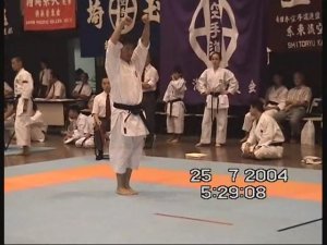 44 Чемпионат Японии по Каратэдо Сито-рю/ Гармаев В.Р. 2004 г.