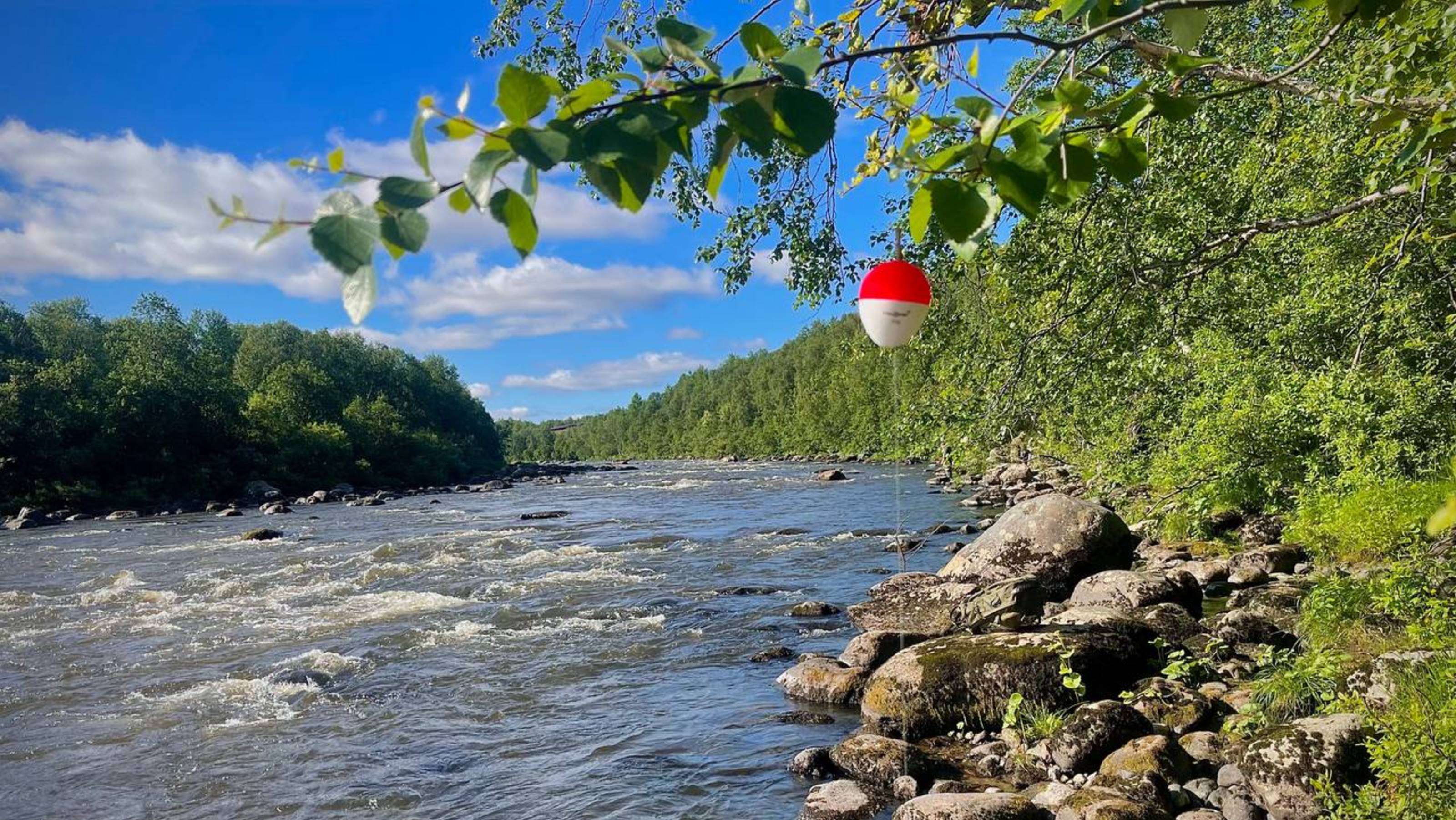 В погоне за ГОРБУШЕЙ, и незабываемая природа Кольского полуострова.