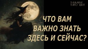Что вам важно знать здесь и сейчас 🔥 💯🔥#таро#лучшее#личный#расклад#онлайн#tarot#online