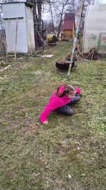 WhatsApp Video - 86