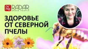 Северная Пчела. Китайцы стоят в очереди. 250719