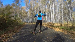 Training on roller skis - 2