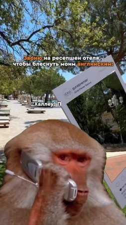 А как у вас с английским в отпуске?