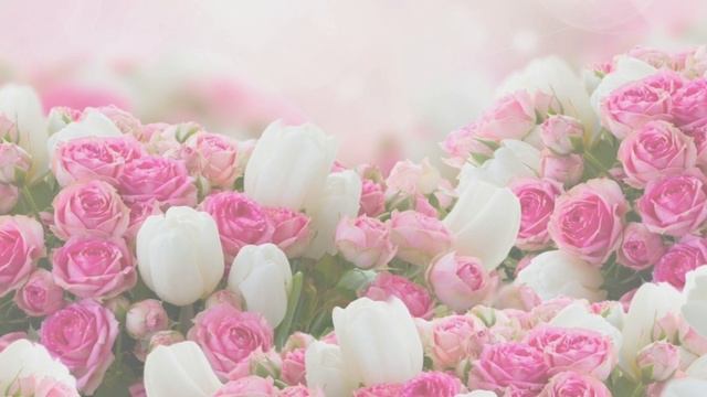 Лето. Девушки. Цветы.