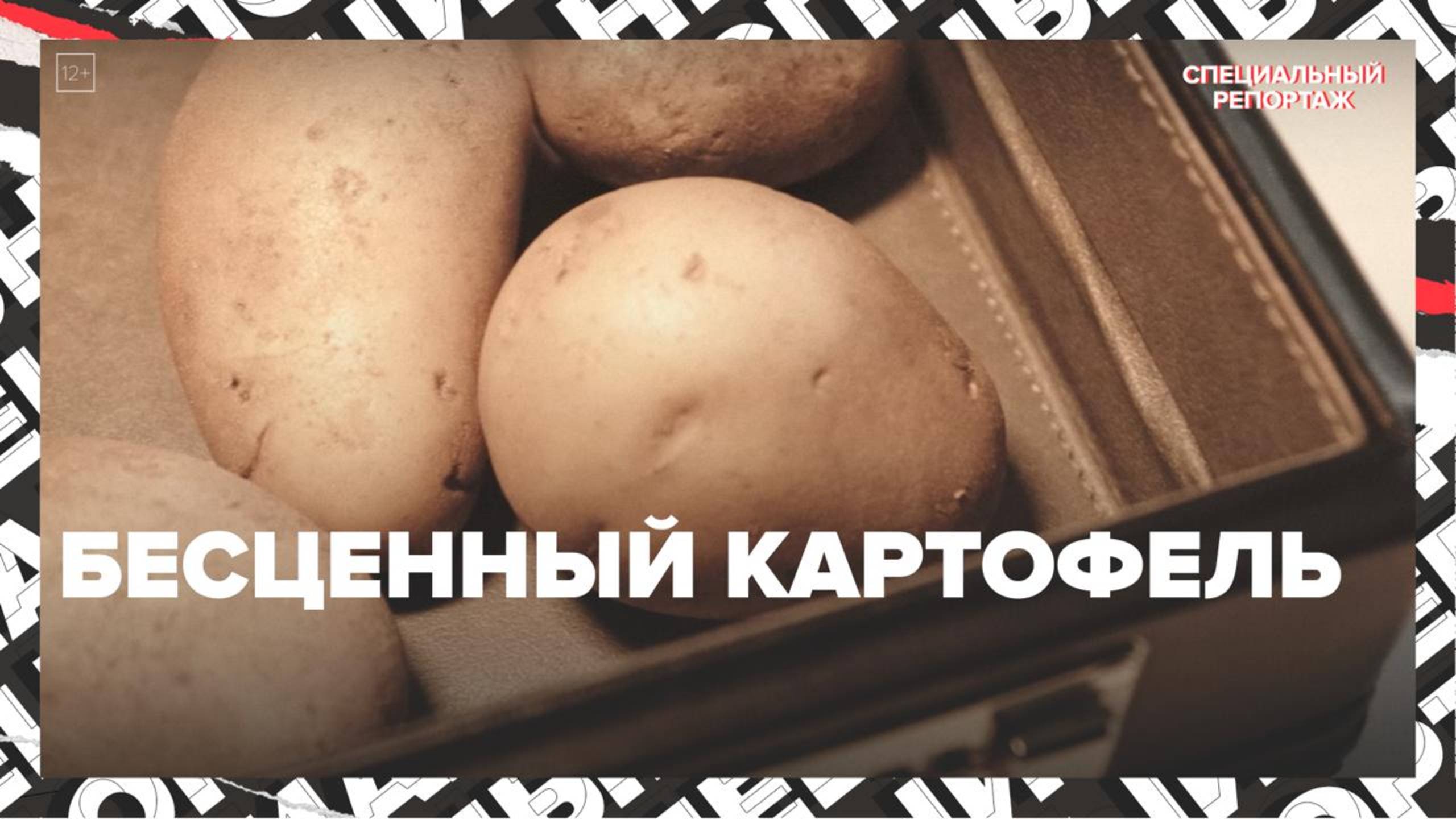 КАРТОФЕЛЬ=ДОХОД | Как заработать на картошке | Специальный репортаж