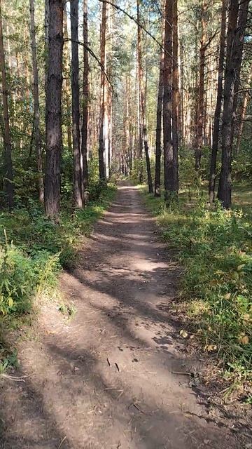 Тропа здоровья в Партизанском!