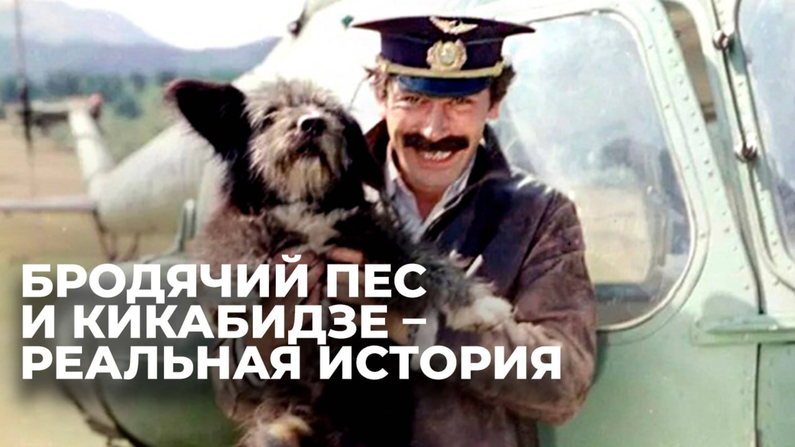 Как Вахтанг Кикабидзе приручил бродячего пса на съемках фильма “Мимино”