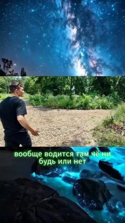ПОДПИШИСЬ ДАЛЬШЕ БОЛЬШЕ
С ТЕБЯ ЛАЙК И КОММЕНТАРИЙ)
#ЛЕС #путешествие #подписка
