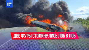 Две фуры столкнулись лоб в лоб на трассе «Омск-Тюмень»