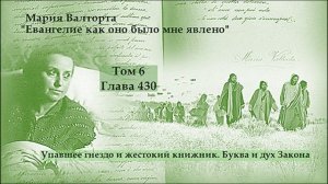 Глава 430. Упавшее гнездо и жестокий книжник. Буква и дух Закона