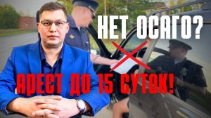 Аресты водителей без ОСАГО в 2025 году продолжаются!