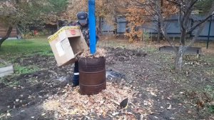 Осенняя утилизация листьев без дыма и запаха