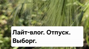 Лайт-влог. Отпуск.  Выборг.