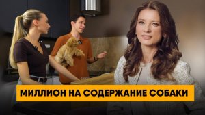 Сколько стоит содержание мальтипу. Что изменилось с появлением собаки.