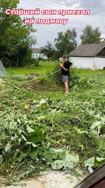 #Shorts Старший сын приехал на подмогу#домвдеревне#садиогород