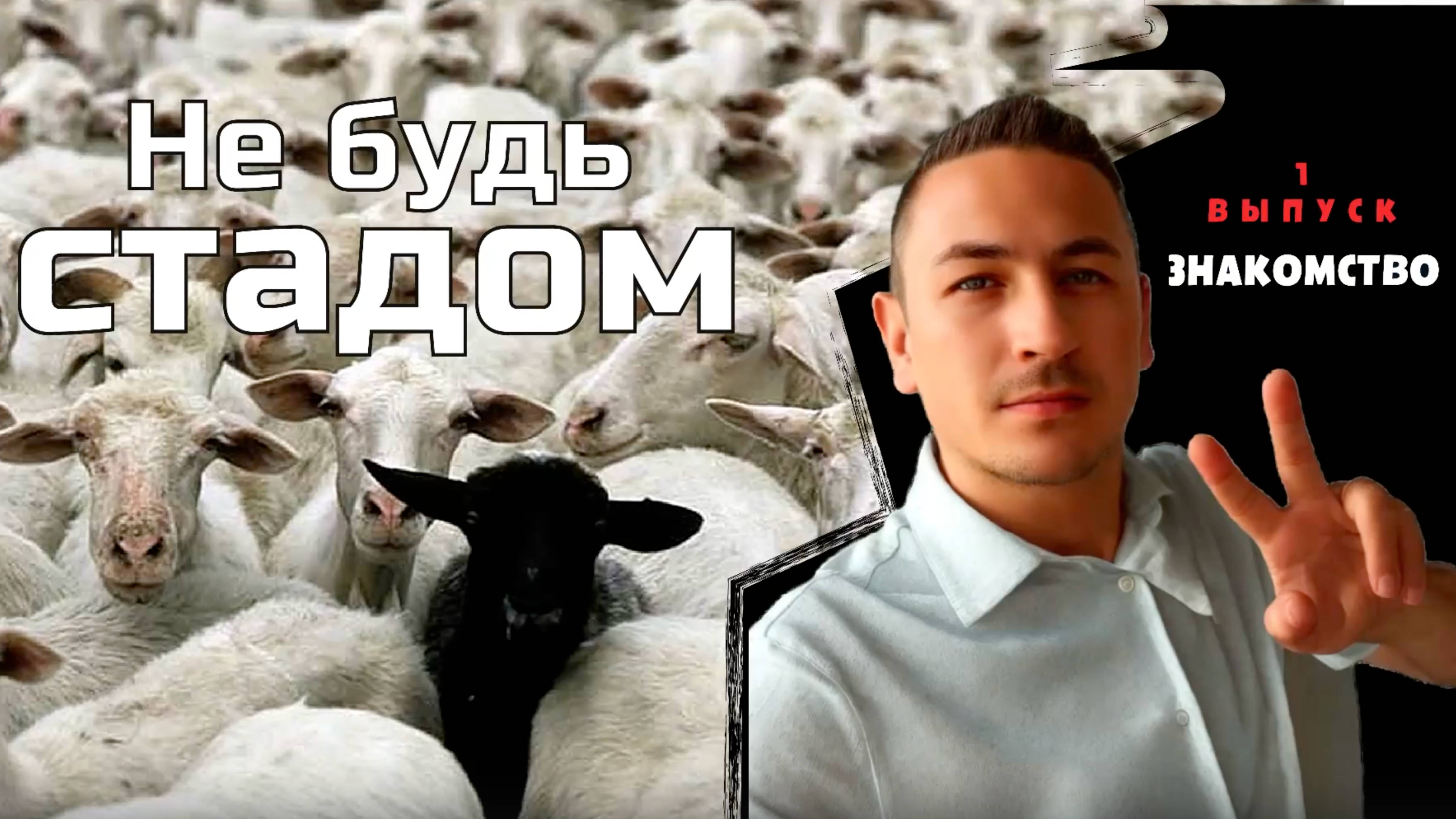 1-й выпуск подкаста #НеБудьСтадом‼ — Знакомство + Ответ Русяу
