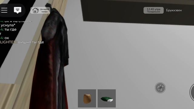 Слежу за игроками в Brookhaven