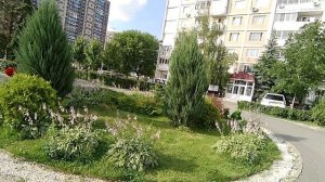Сквер у управы Ново-Переделкино
