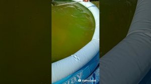 обслуживание бассейна